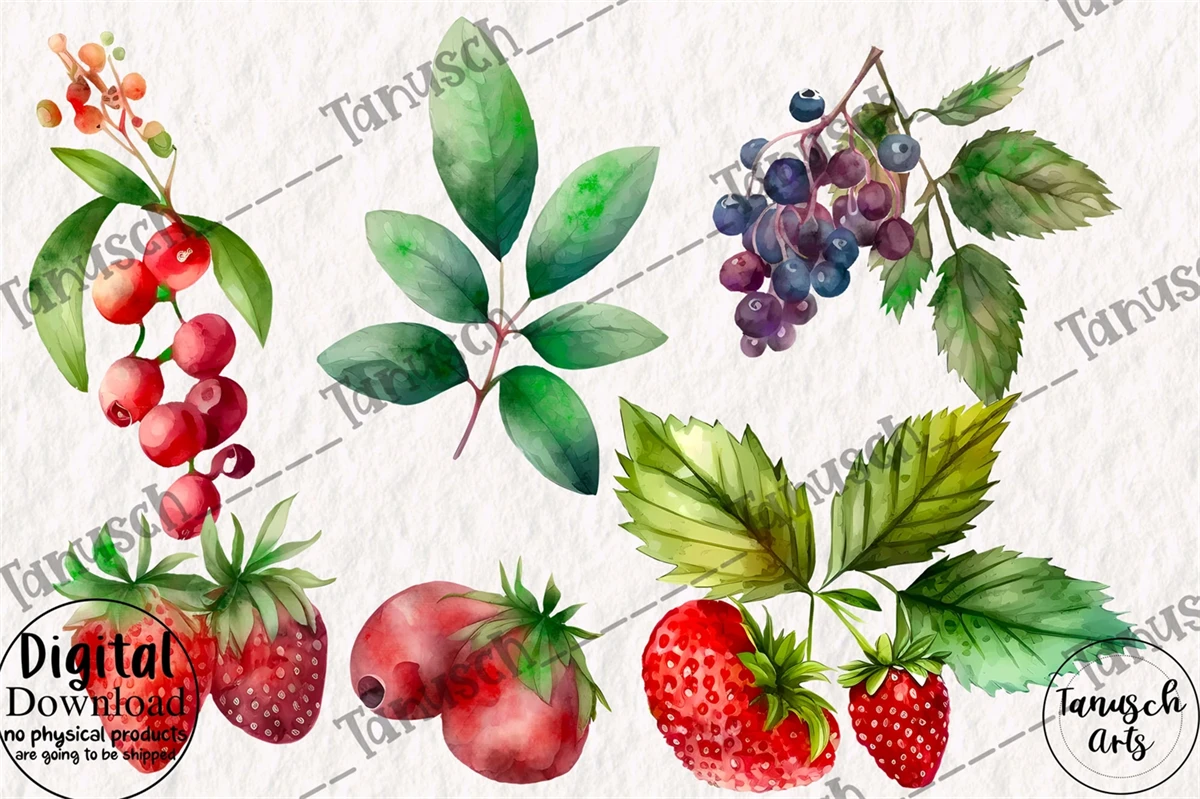 Watercolor Clipart berries | Designful Market