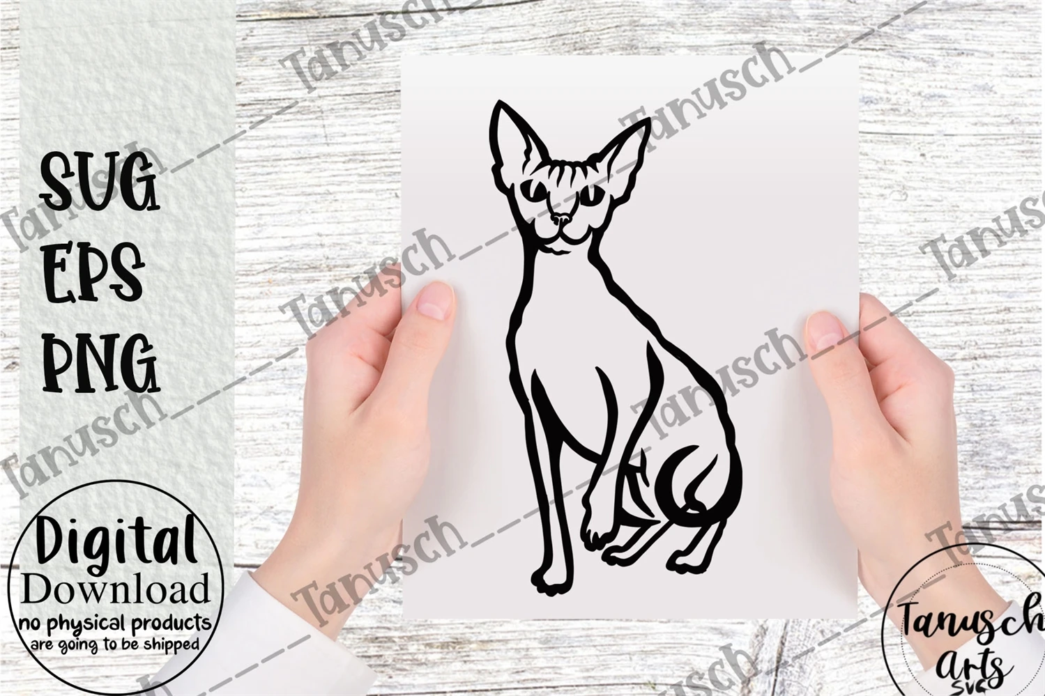 Sphynx Cat SVG Naked Cat Cut File Cricut Bundle | Designful Market